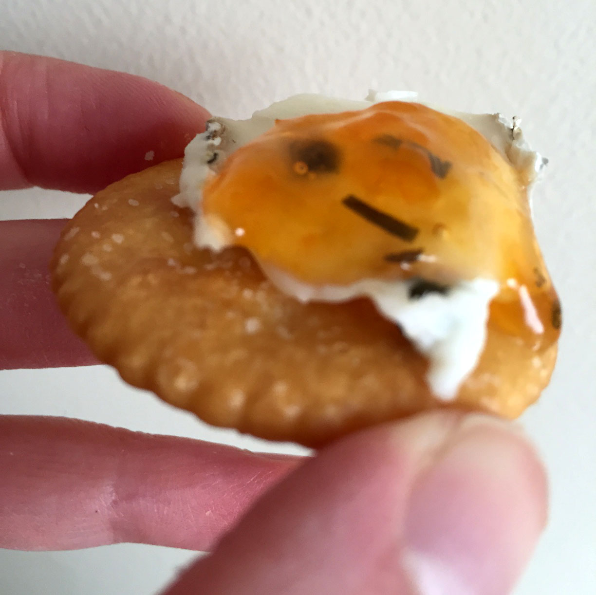 Easy Brie and Jam Appetizer Ritz Cracker Bites Recipe – Melanie Cooks