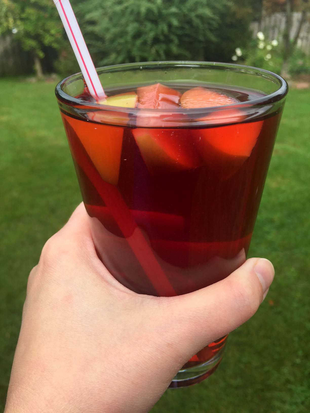 Fruit-Infused Hibiscus Iced Tea – Sugar-Free And Naturally Sweet ...