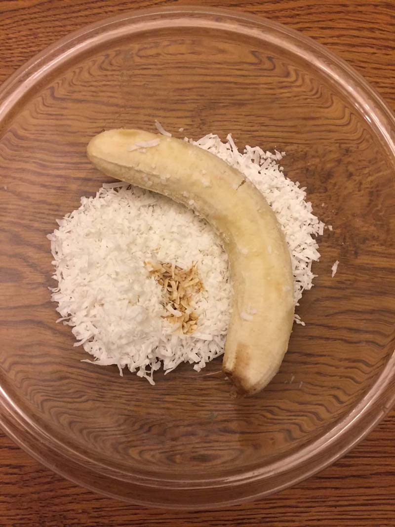 3-Ingredient Coconut Banana Cookies (Gluten-Free, Paleo, Vegan ...