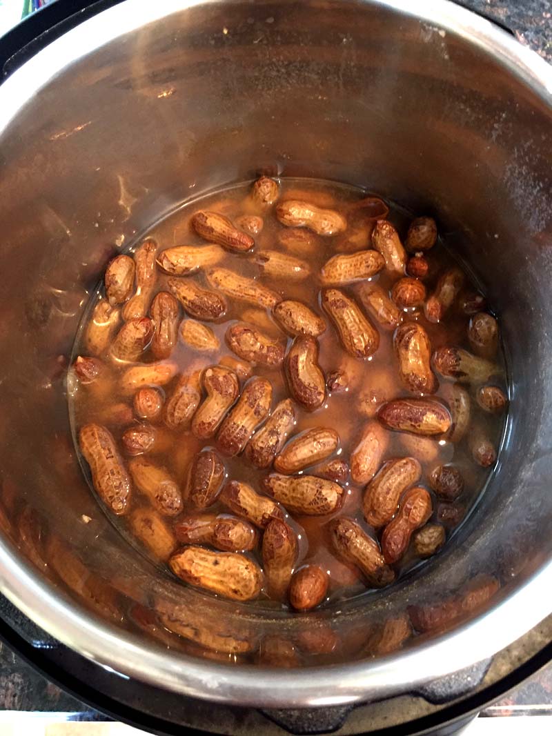 Instant Pot Boiled Peanuts – Melanie Cooks
