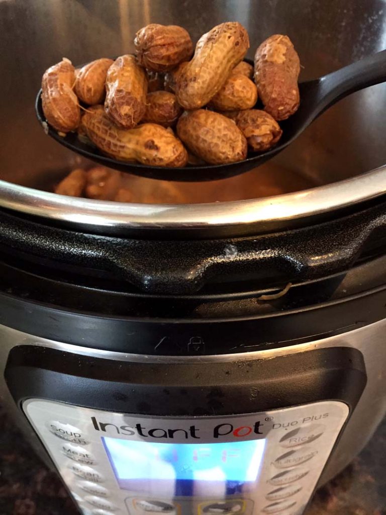 Instant Pot Boiled Peanuts – Melanie Cooks