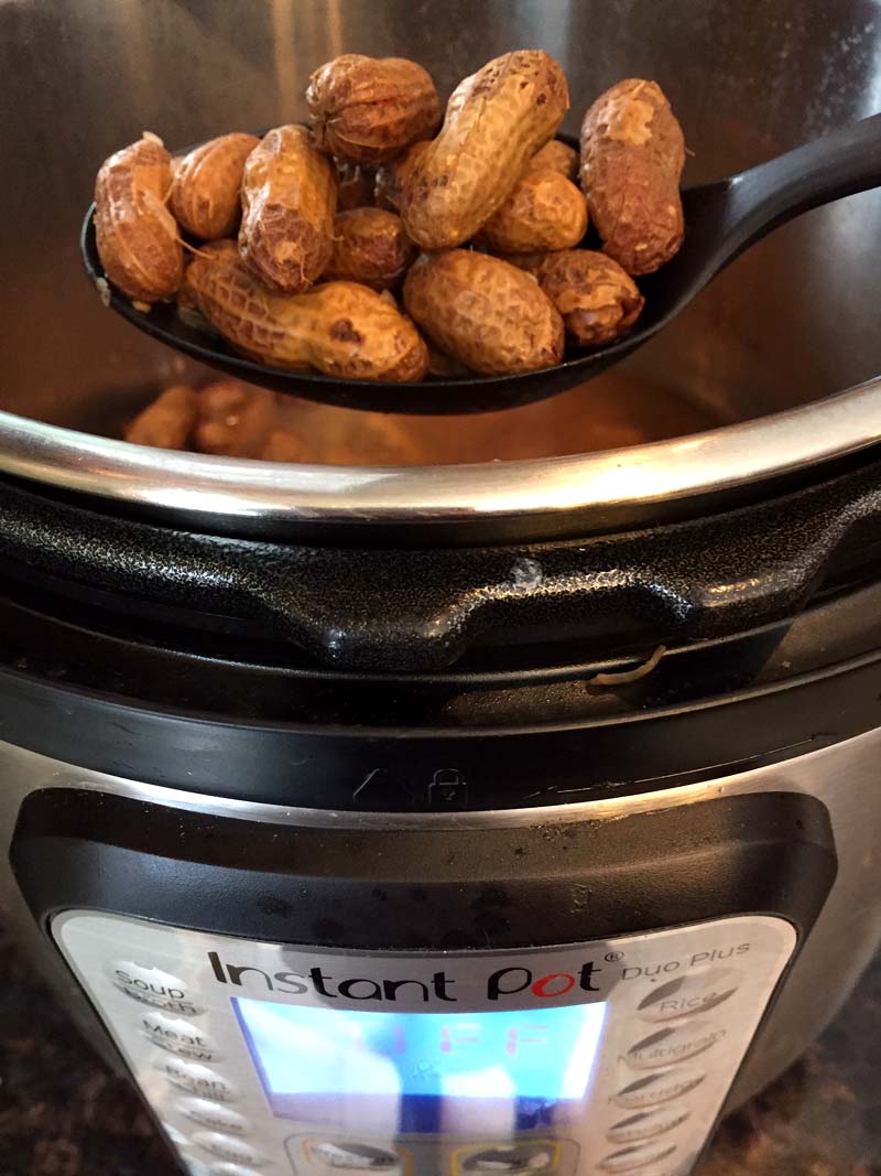 Instant Pot Boiled Peanuts – Melanie Cooks