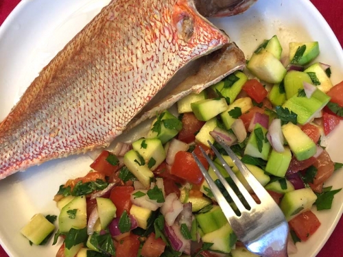 Red Snapper Fish