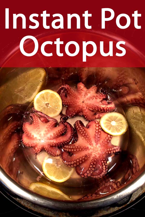 Instant Pot Octopus – Melanie Cooks