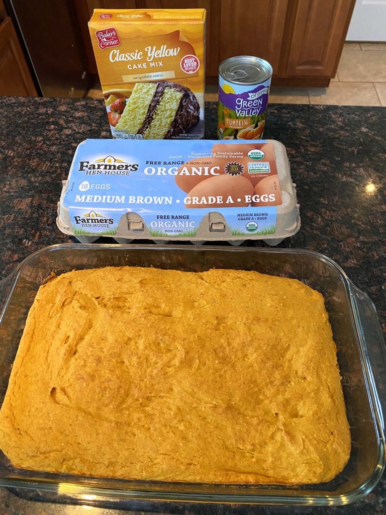 3 Ingredient Pumpkin Dump Cake With Cake Mix – Melanie Cooks