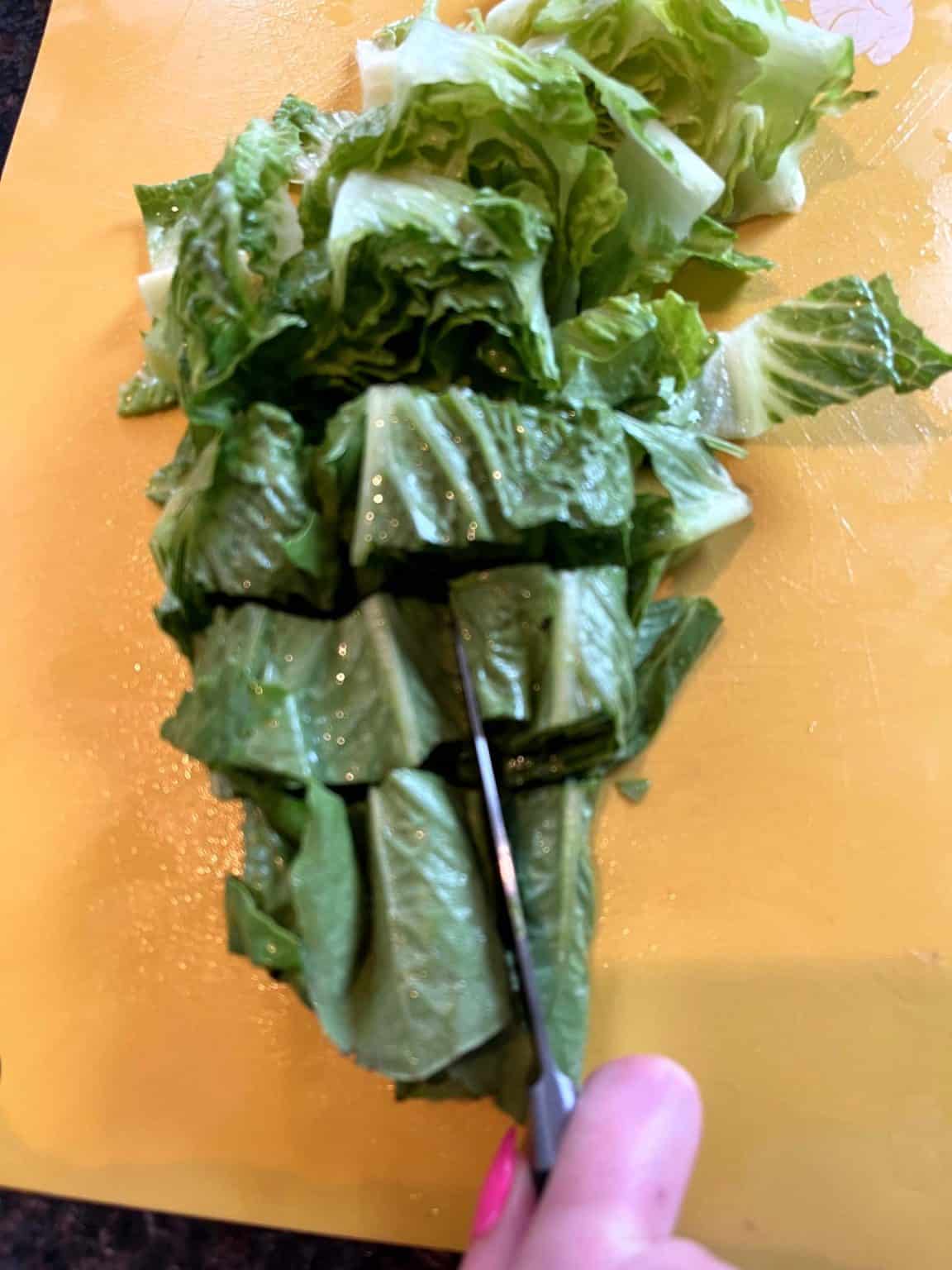 How to Properly Wash and Cut Romaine Lettuce – Melanie Cooks
