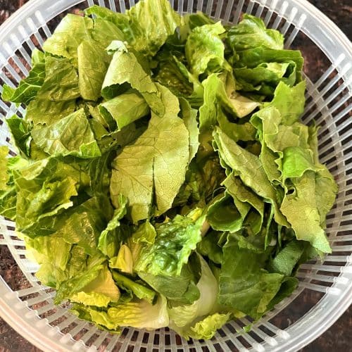 How to Properly Wash and Cut Romaine Lettuce – Melanie Cooks
