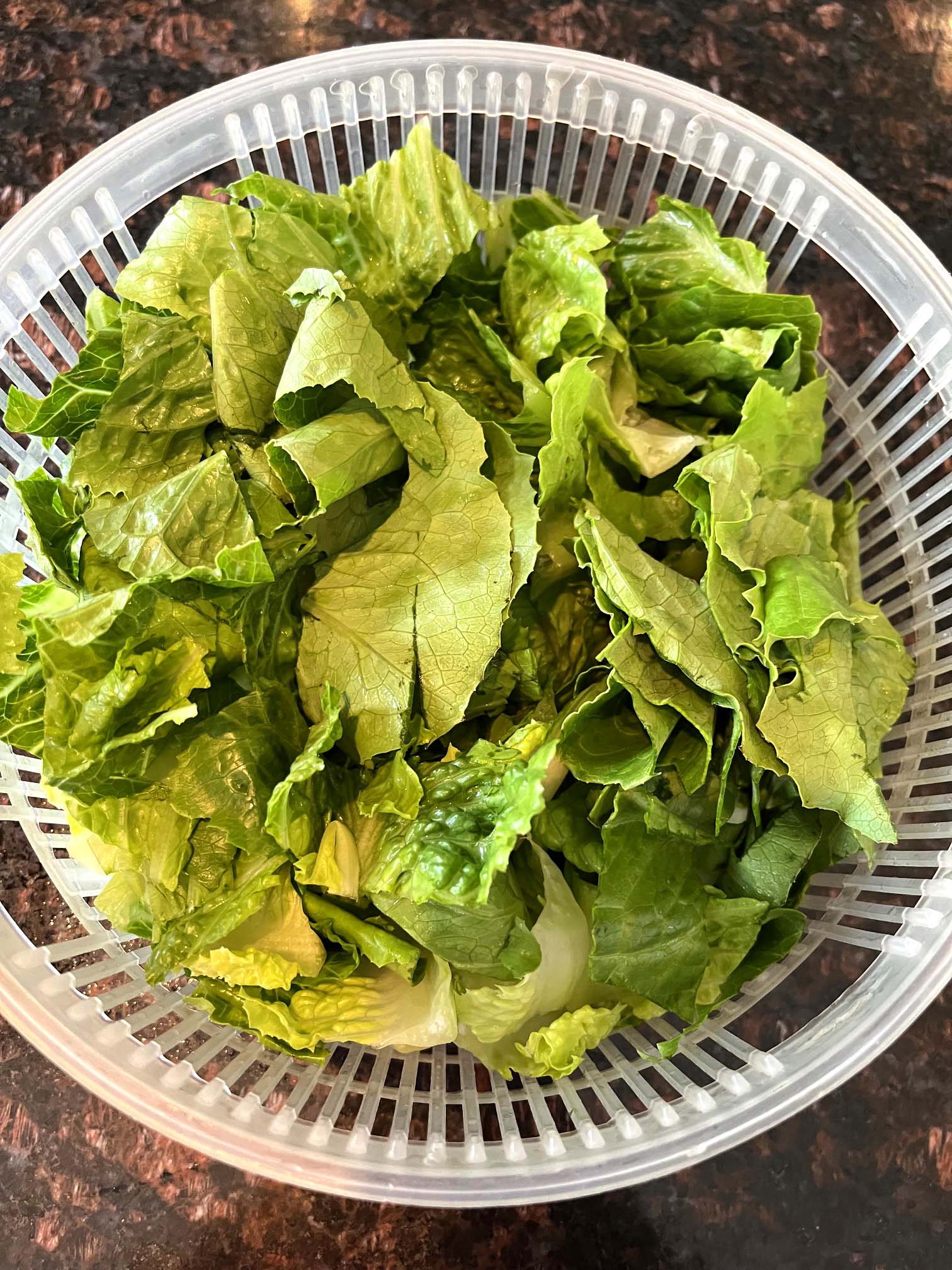 How to Properly Wash and Cut Romaine Lettuce – Melanie Cooks