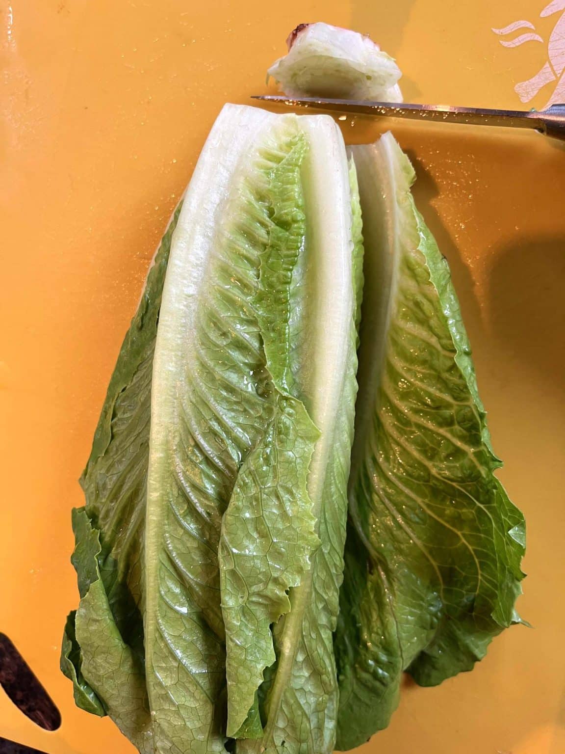 How to Properly Wash and Cut Romaine Lettuce – Melanie Cooks