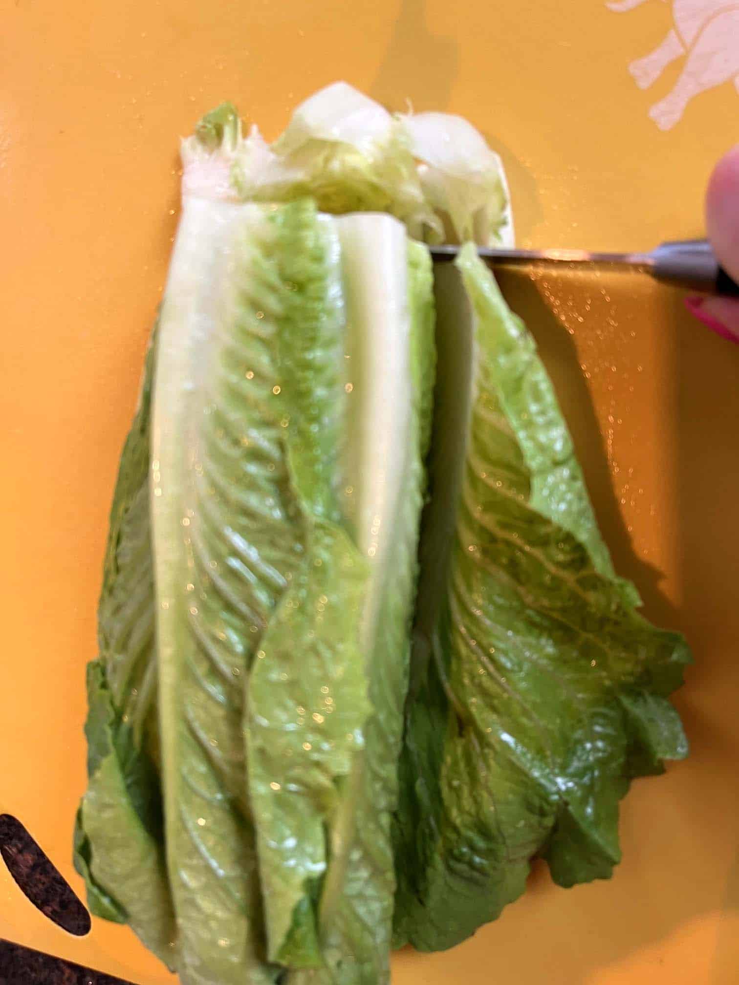 How to Properly Wash and Cut Romaine Lettuce – Melanie Cooks