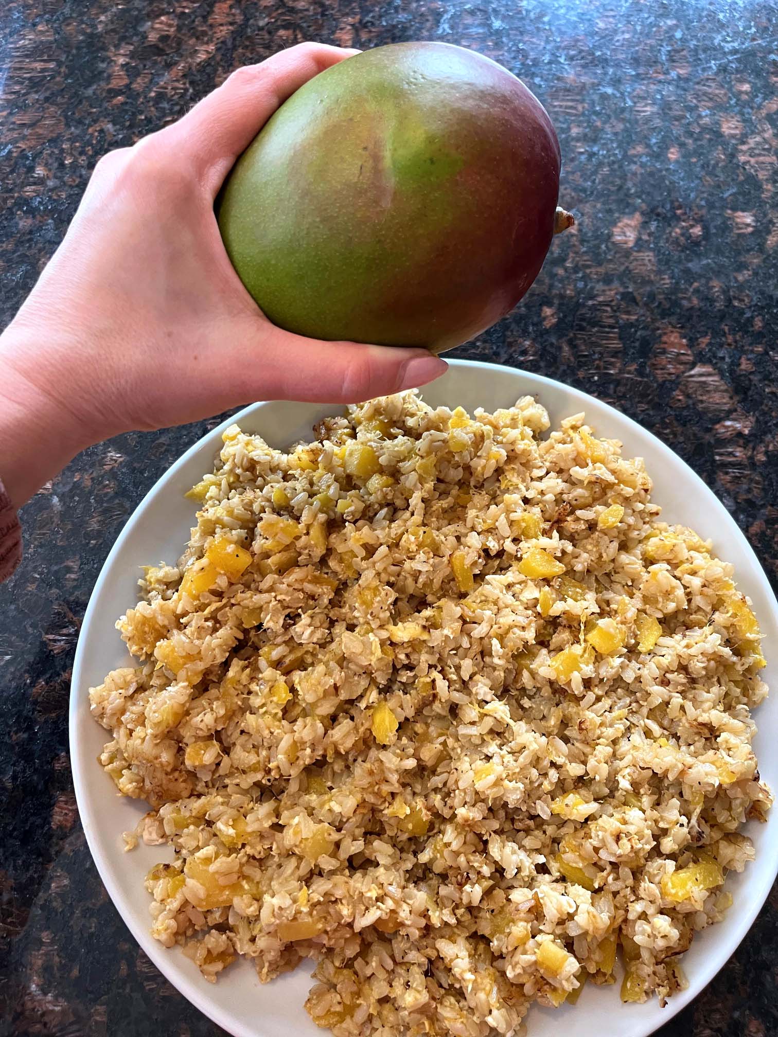 Best Mango Fried Rice Recipe – Melanie Cooks