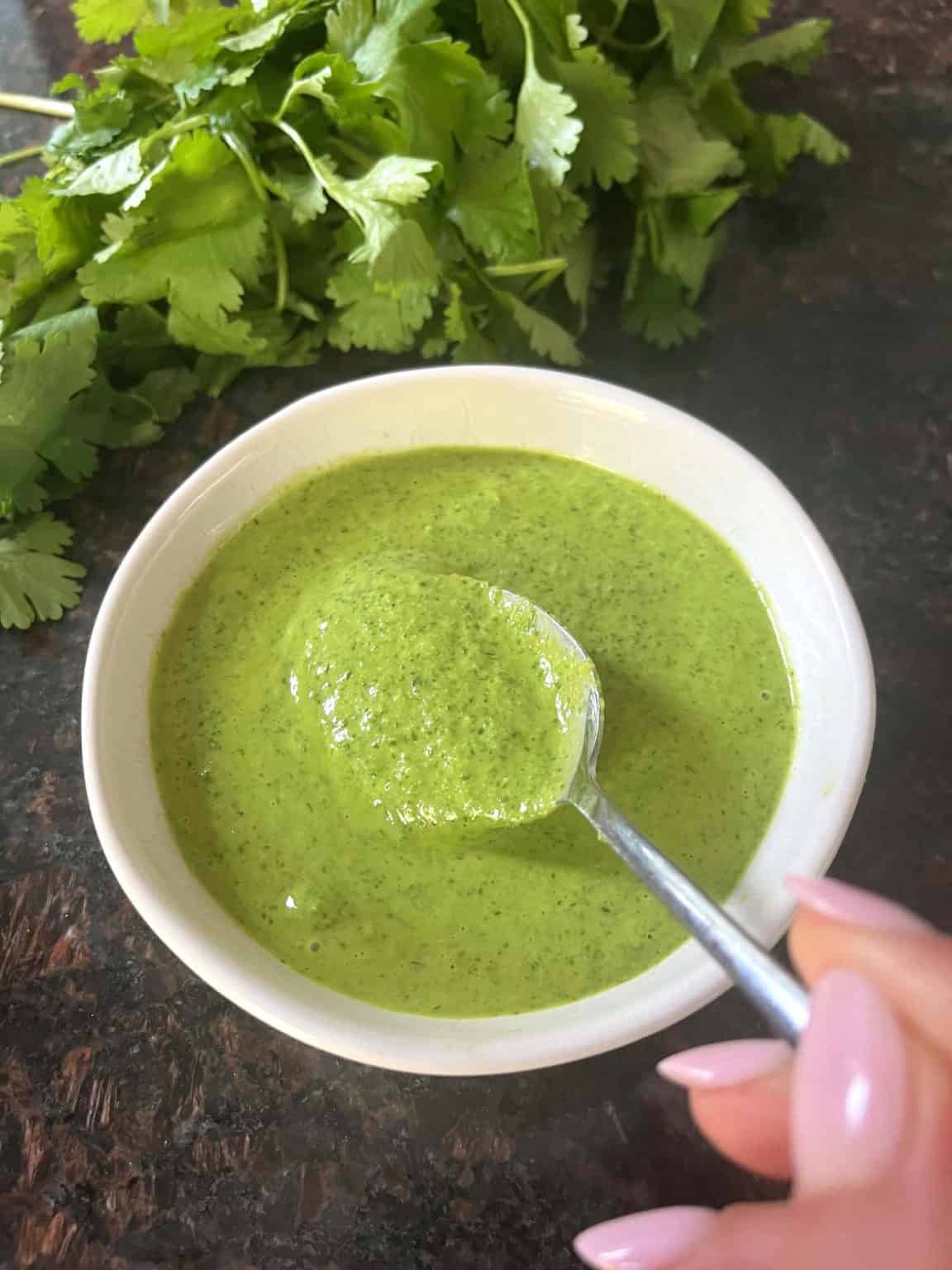 Cilantro Chimichurri Sauce Recipe – Easy & Authentic, Best Ever ...