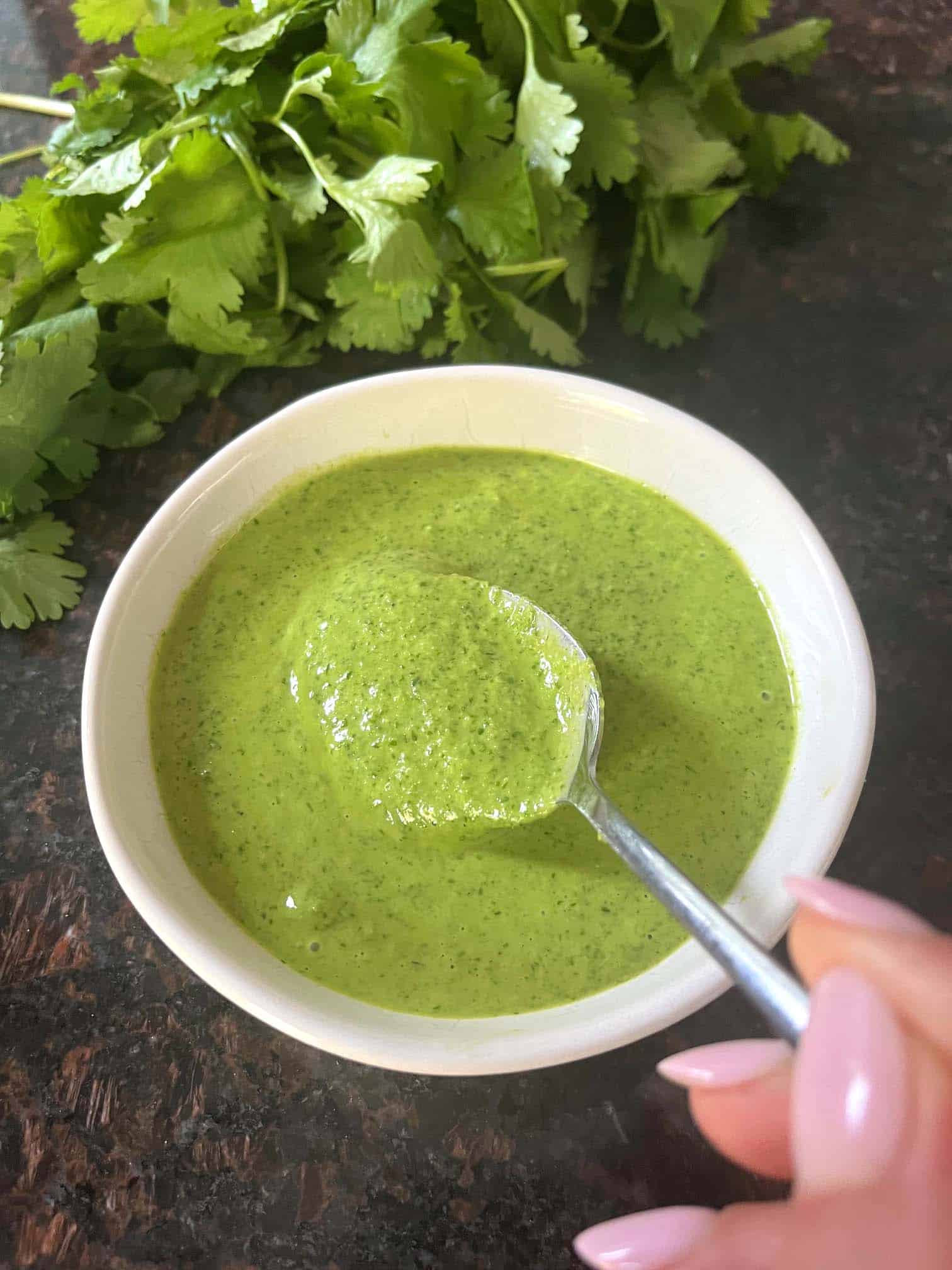 Cilantro Chimichurri Sauce Recipe – Easy & Authentic, Best Ever ...