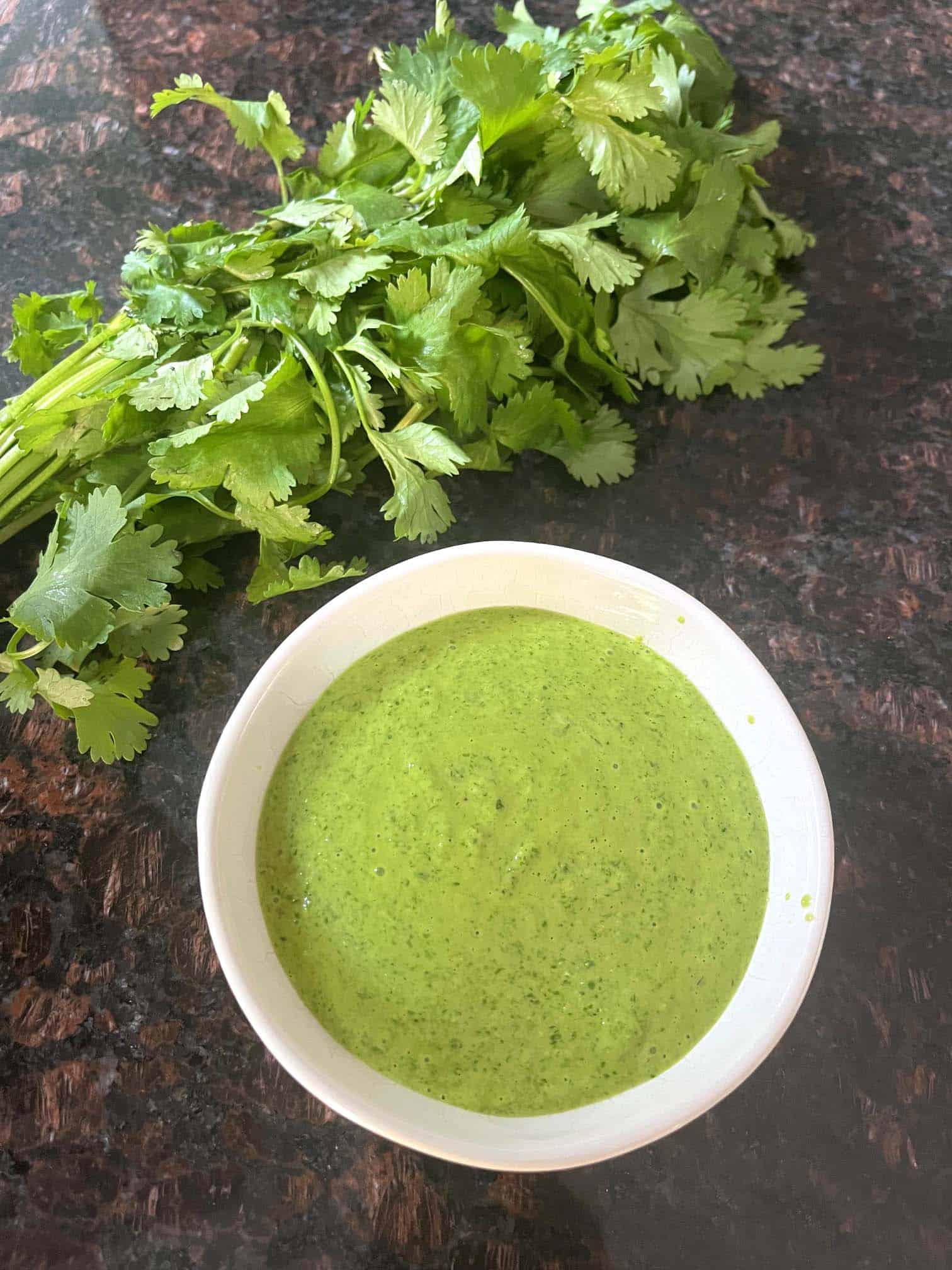 Cilantro Chimichurri Sauce Recipe – Easy & Authentic, Best Ever ...