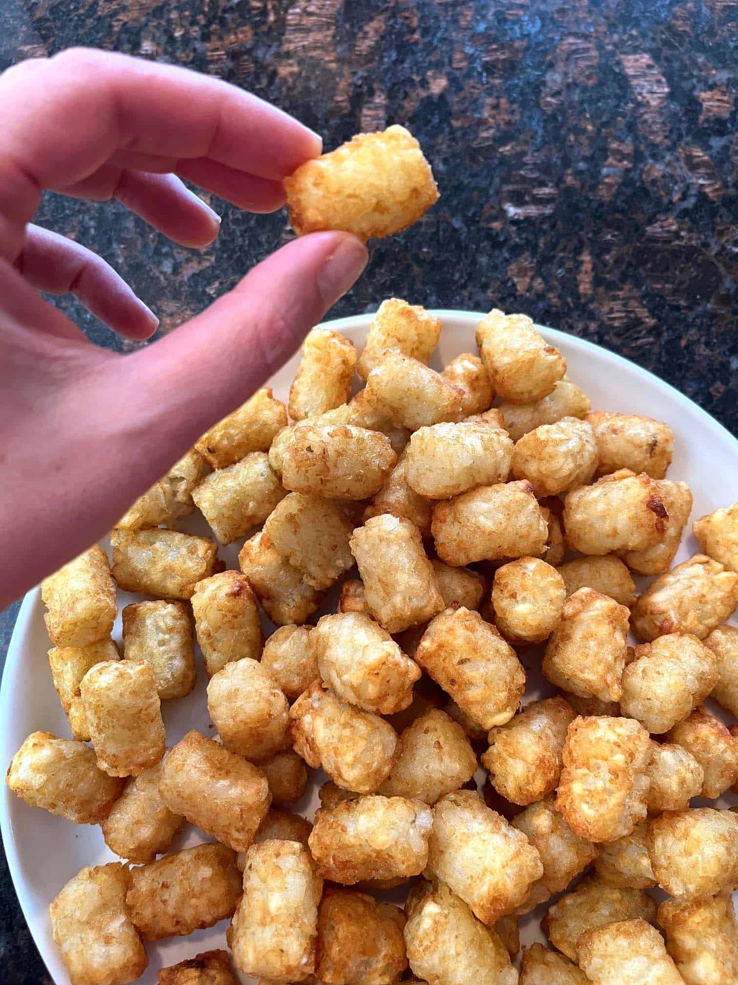 Sonic Tater Tots In The Air Fryer (Quick & Crispy!) – Melanie Cooks