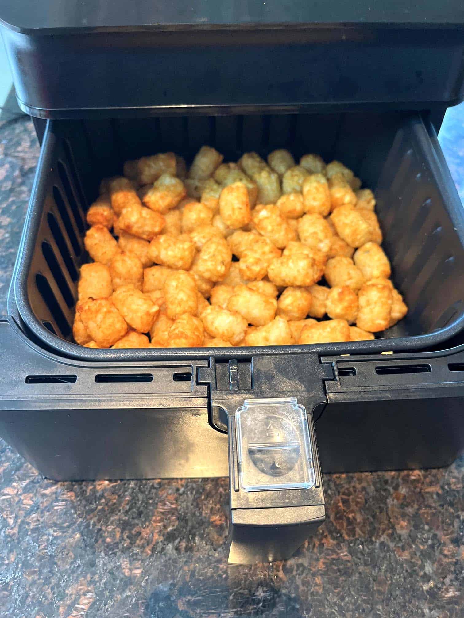 Sonic Tater Tots In The Air Fryer (Quick & Crispy!) – Melanie Cooks
