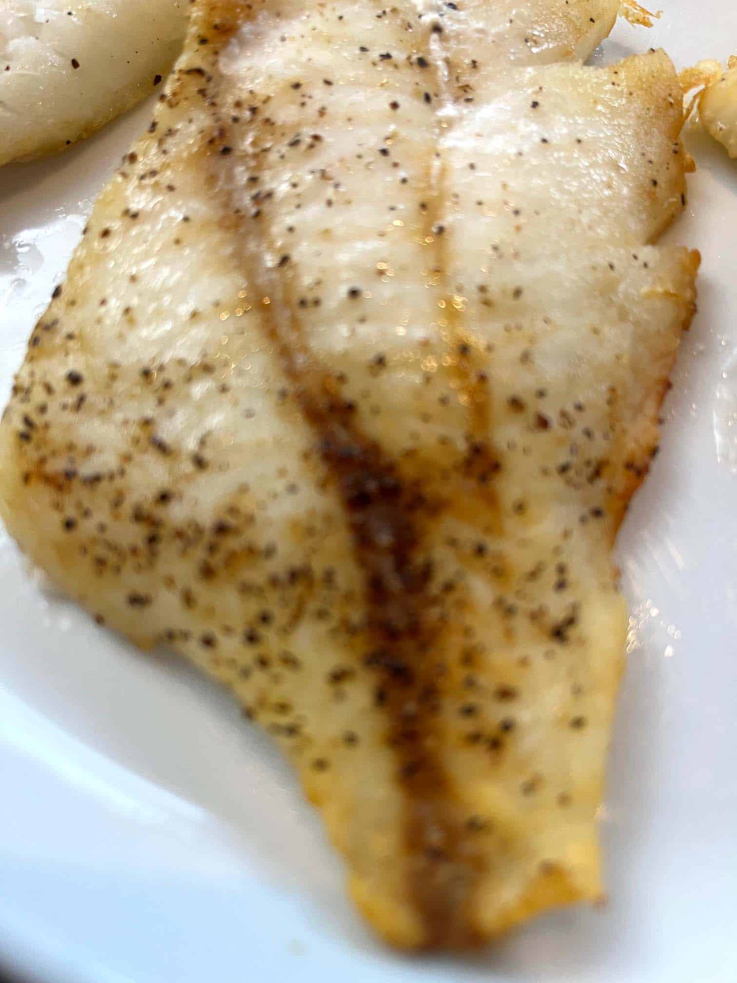 Air Fryer Orange Roughy Recipe: Crispy, Flaky Fish Made Easy! – Melanie ...